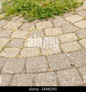 concrete composite paving - Close-up of gray interlocking paving in T ...