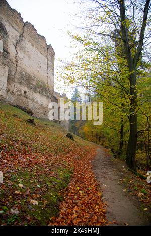 View of the ancient Zborov Castle, Slovakia Stock Photo - Alamy