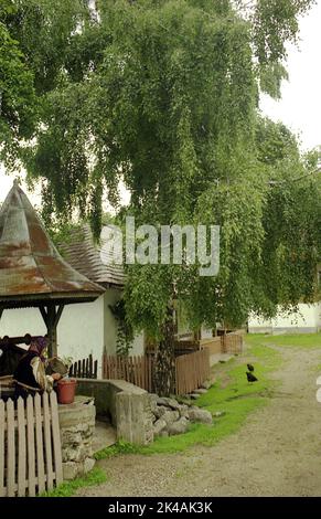 Arges County, Romania, 2002. An elderly woman wearing the traditional ...