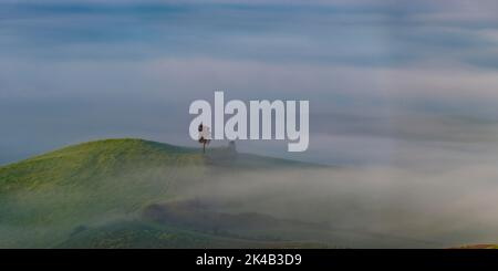 Landscape at sunrise around Volterra, province of Pisa, Tuscany, Italy ...