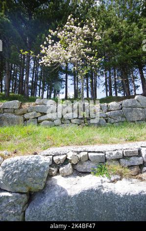Huge limestone blocks that fortified the entire area of the ...