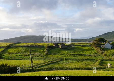 Ruins of an old Irish farm house in the Mountains of Donegal, Ireland ...