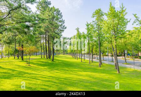 The sun slanted down on the green meadows and trees Stock Photo - Alamy
