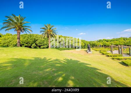Palm trees in Meilan Lake Park, Shanghai, China Stock Photo - Alamy