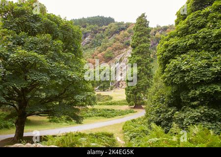 Majestic forest round water cascade of Powerscourt Waterfall, the ...