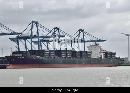 Container Ship SC MARA operated by UniOcean Lines seen unloading ...
