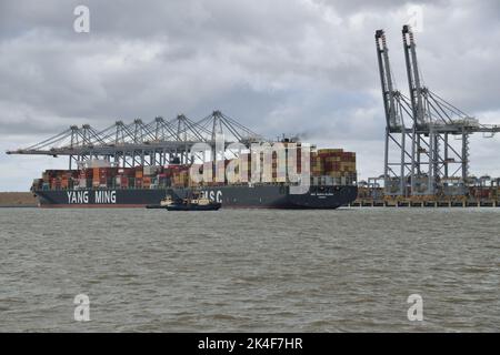 Container Ship MSC MARIA ELENA preparing to depart DP World London ...