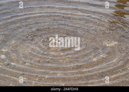 Water bubbling up from the spring forming the source of the River ...
