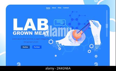 scientist hand analyzing dna of cultured meat made from animal cells ...