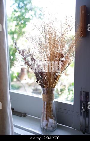 vase with dried flowers in a window sill Stock Photo - Alamy