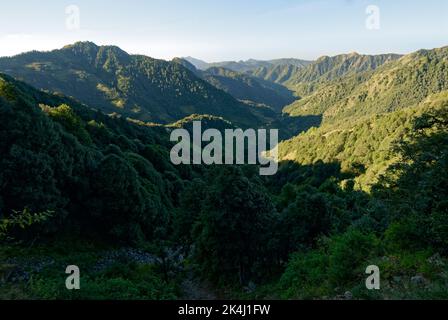 Himalayan mountain ranges in early morning time Stock Photo - Alamy