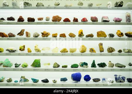 Mineral collection in South Australian Museum Stock Photo - Alamy