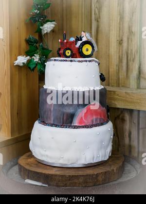 Themed wedding cake Stock Photo - Alamy