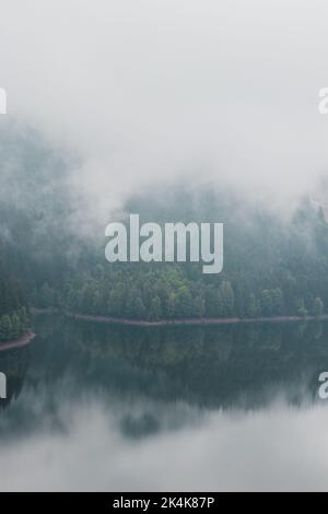 Rainy and foggy morning at the Sance Dam. Reflection of deciduous ...