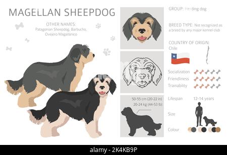 Magellan Sheepdog clipart. All coat colors set. All dog breeds ...