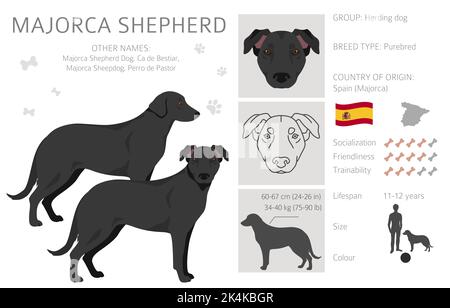 Majorca Shepherd dog clipart. All coat colors set. All dog breeds ...