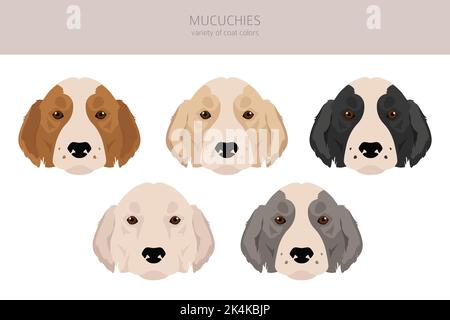 Mucuchies clipart. All coat colors set.; All dog breeds characteristics ...