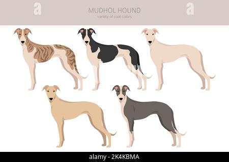Mudhol hound clipart. All coat colors set.; All dog breeds ...