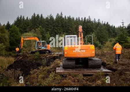 A new search begins at Bragan Bog, Co Monaghan for the body of teenager ...