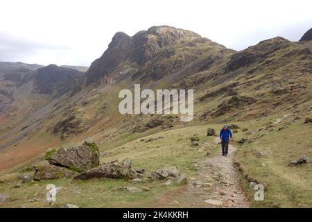 Lone Man Walking on the Scarth Gap Path from the Wainwright 'Haystacks ...