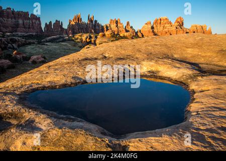 A rainwater pothole in Cedar Mesa sandstone in the Devil's Kitchen area ...