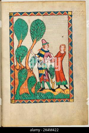 The "Codex Manesse", also known as the "Great Heidelberg Book of Songs ...
