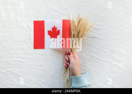 Happy Canada Thanksgiving Day. Canadian flag and wheat ears in hand on ...