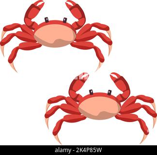 Illustration of two cute crabs on white background. Vector illustration ...