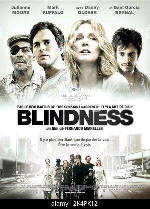 DANNY GLOVER, MARK RUFFALO, JULIANNE MOORE, GAEL GARCIA BERNAL POSTER ...