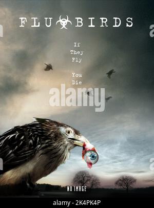 MOVIE SCENE, FLU BIRD HORROR, 2008 Stock Photo - Alamy