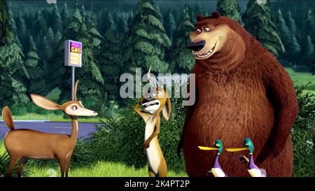 BOOG,ELLIOT, OPEN SEASON 2, 2008 Stock Photo - Alamy