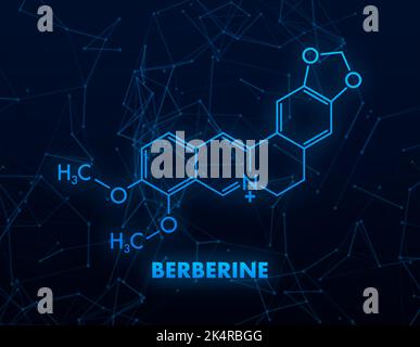 Berberine concept chemical formula icon label, text font vector ...
