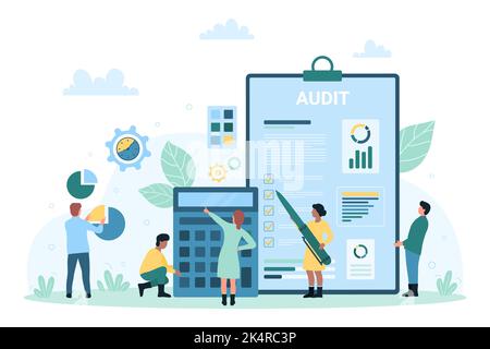 Business Audit of Documents with Charts, Accounting, Calculations and ...
