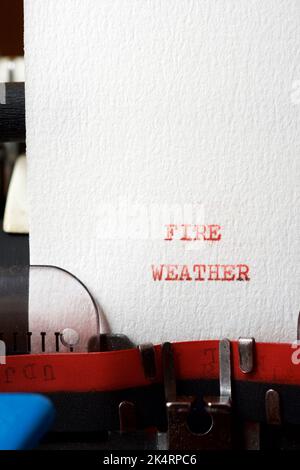 The words FOREST FIRE concept written in colorful retro shapes and ...