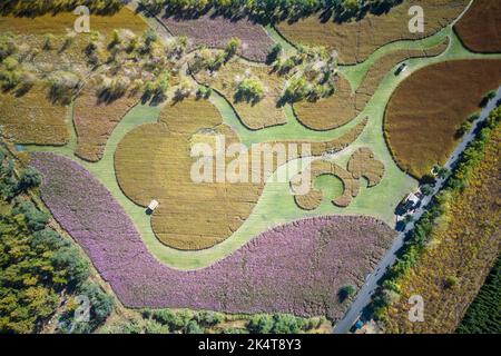 Harbin. 4th Oct, 2022. Aerial photo taken on Oct. 4, 2022 shows the ...
