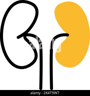 Kidney disease, nephrology vector illustration. Cartoon tiny doctors study science infographic ...