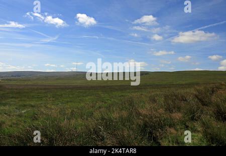 Moorland on the slopes of Great Hill on the West Pennine Moors ...