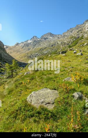 The Grand Etret Valley in the Grand Paradis National Park. pont, Aoste ...