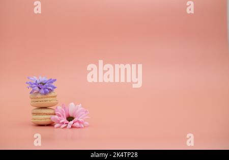 Round beautiful sweets macaroni with flowers on a pink background ...