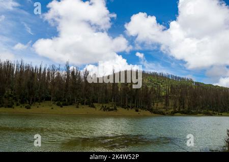 Scenic Ooty Lake, blue and white sky, reflection visible in water ...