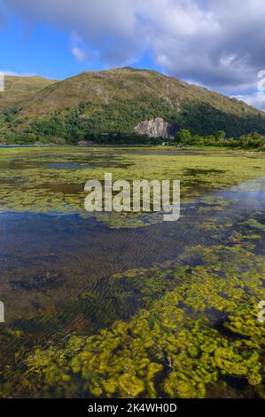 Bonawe Quarry seen from Taynuilt across Loch Etive, Scotland Stock ...