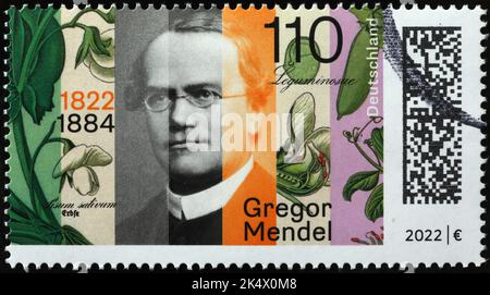 Gregor Mendel on german postage stamp Stock Photo - Alamy