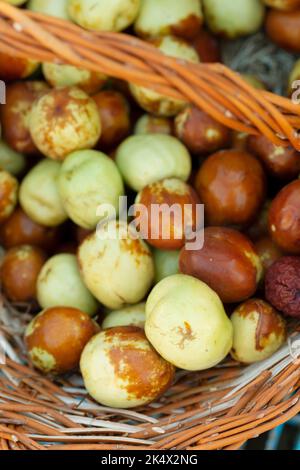 Zizyphus jujuba Fruit Stock Photo - Alamy