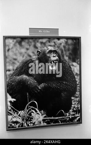 Robert E. Gilka, American photojournalist and editor, National ...