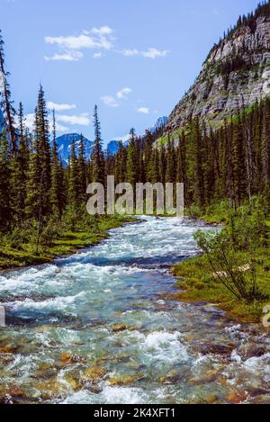 Hiking to Lake Annette in Banff National Park, passing forests and ...