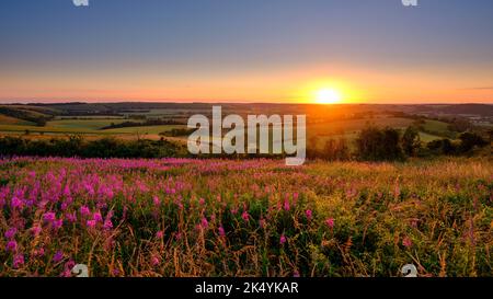 The Meon Valley from Butser Hill Stock Photo - Alamy