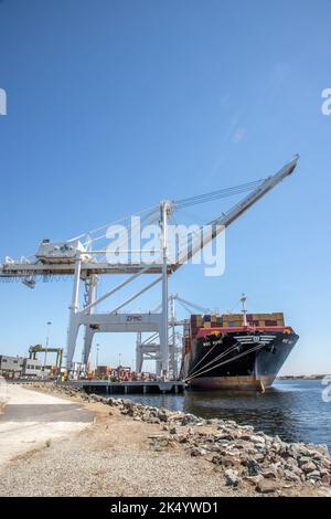 While walking through the Middle Harbor Shoreline Park you can see ...