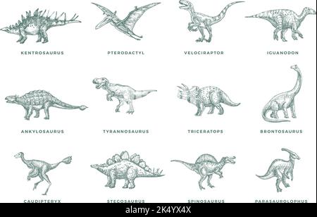 Set of Animal Reptile Template Hand Drawn Cartoon Flat Illustration ...