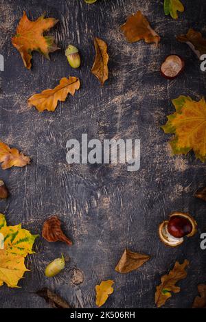 Bright red eucalyptus autumn leaves amid rose hips Stock Photo - Alamy