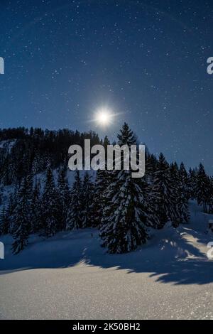 Vertical shot of the moon shining above the calm sea Stock Photo - Alamy